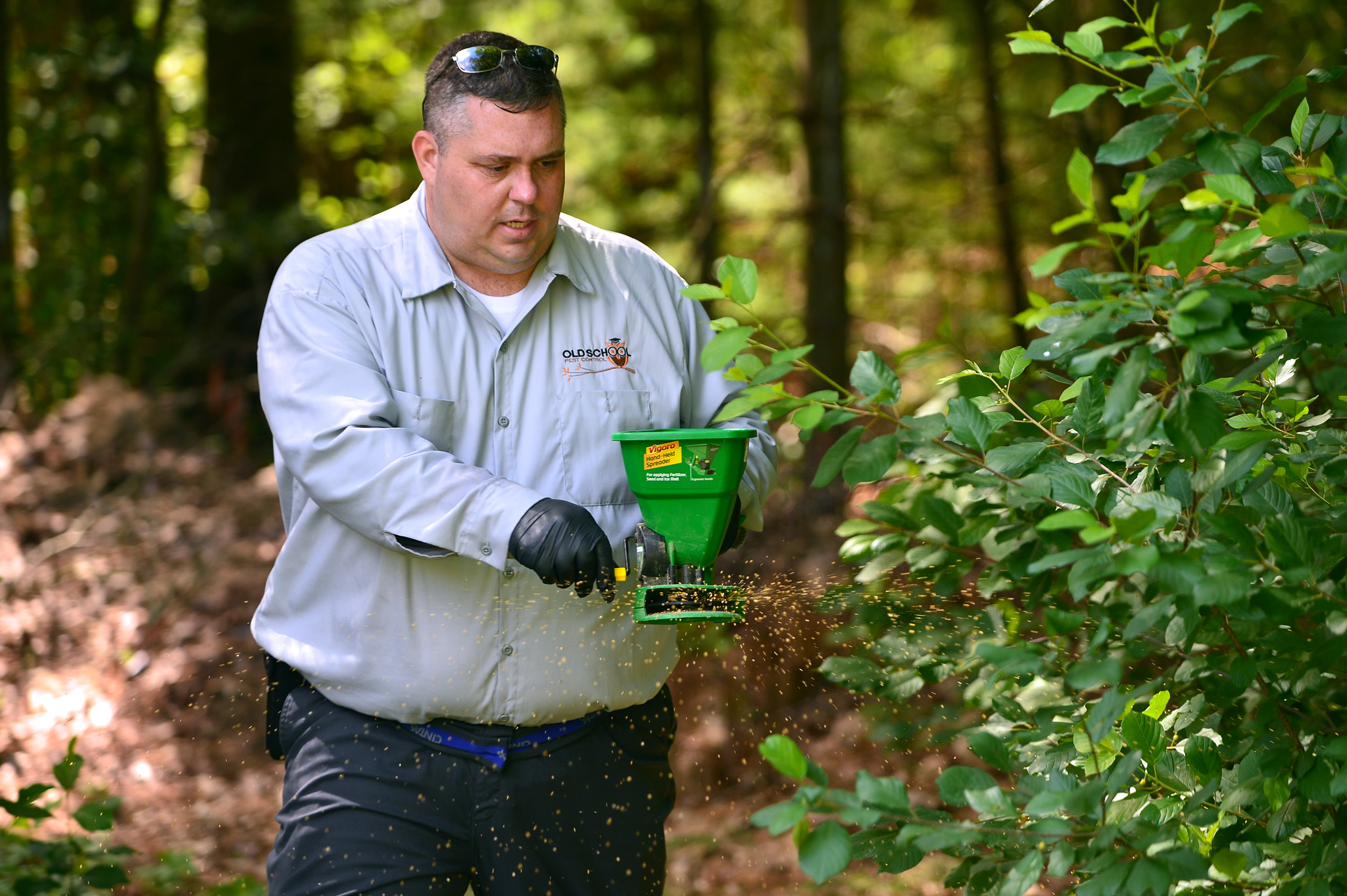 Pest Control Management In Saratoga County, NY